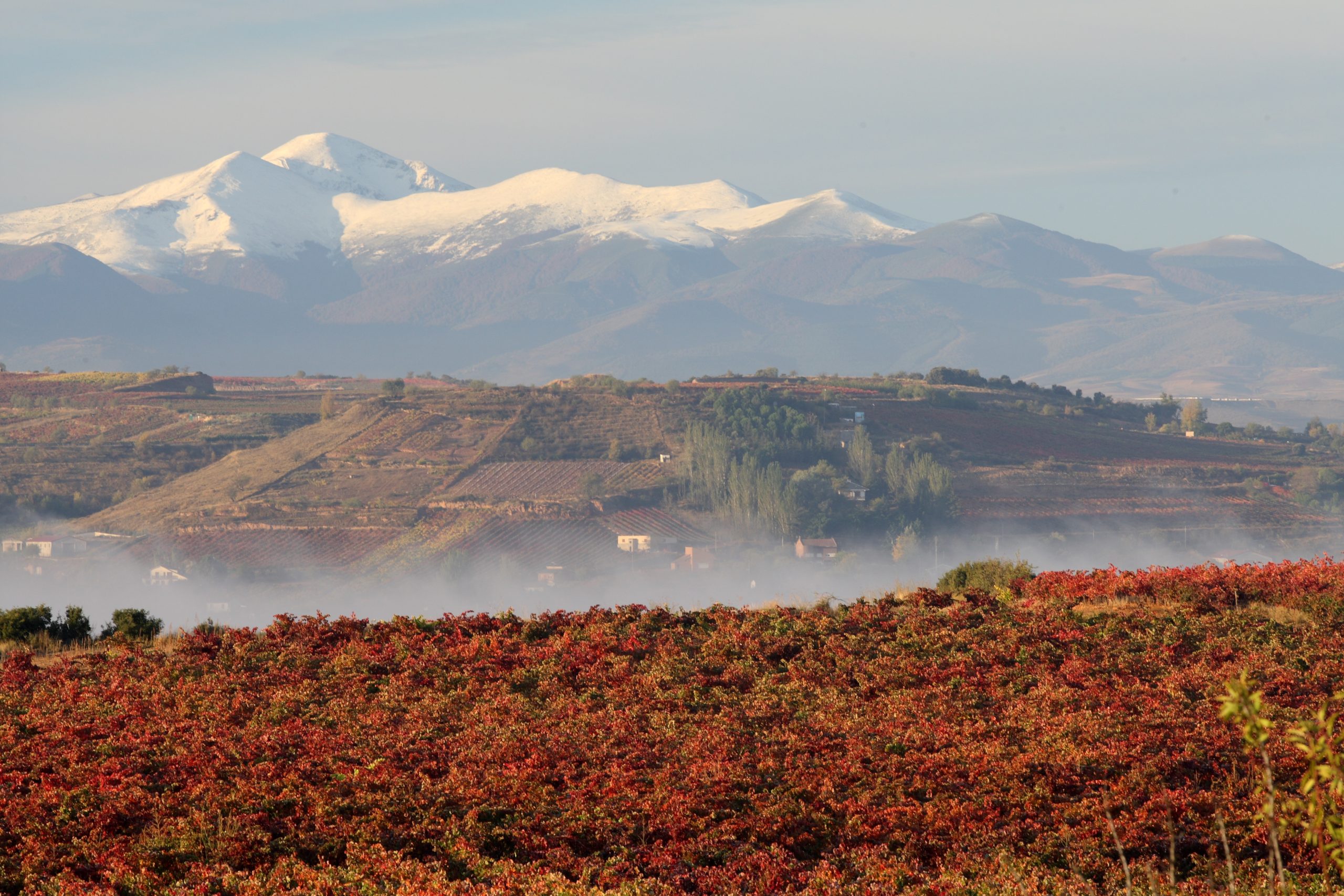 Rioja, Spain - Vinspiration