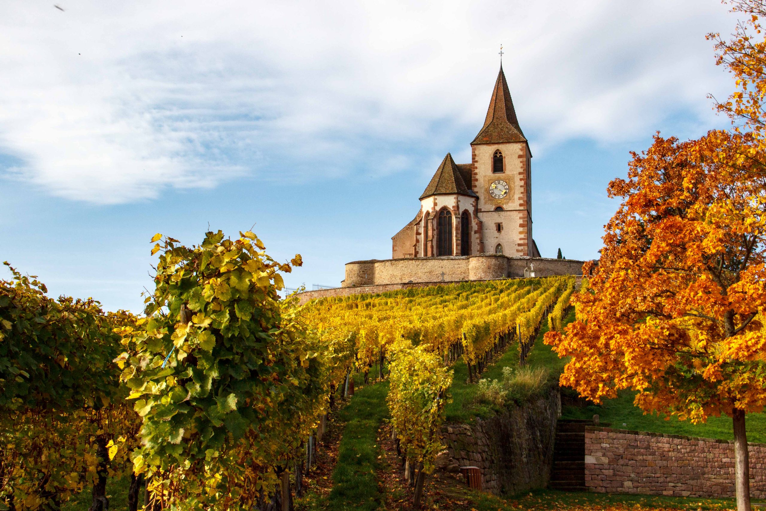 Alsace: The White Wine Region of France - Vinspiration